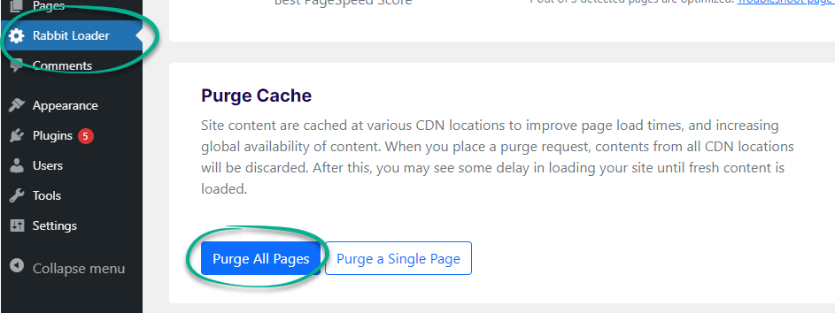 Purging cache from WordPress plugin - Knowledge Base